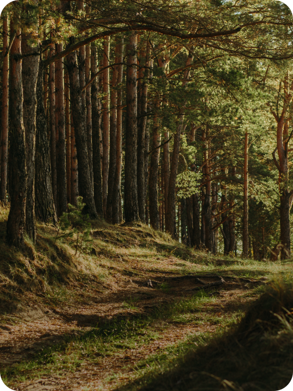 Our environmental approach - Grospiron